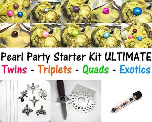 Akoya Oysters Pearl Party Starter Kit Ultimate 20 Akoya Oysters ...
