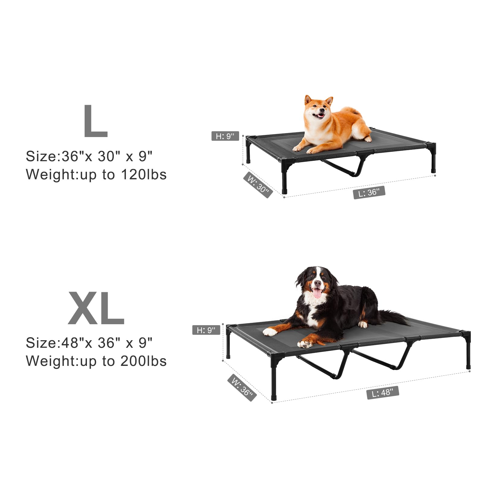 Extra Large Elevated Dog Beds BingoPaw Jumbo Large Orthopedic Dog Bed