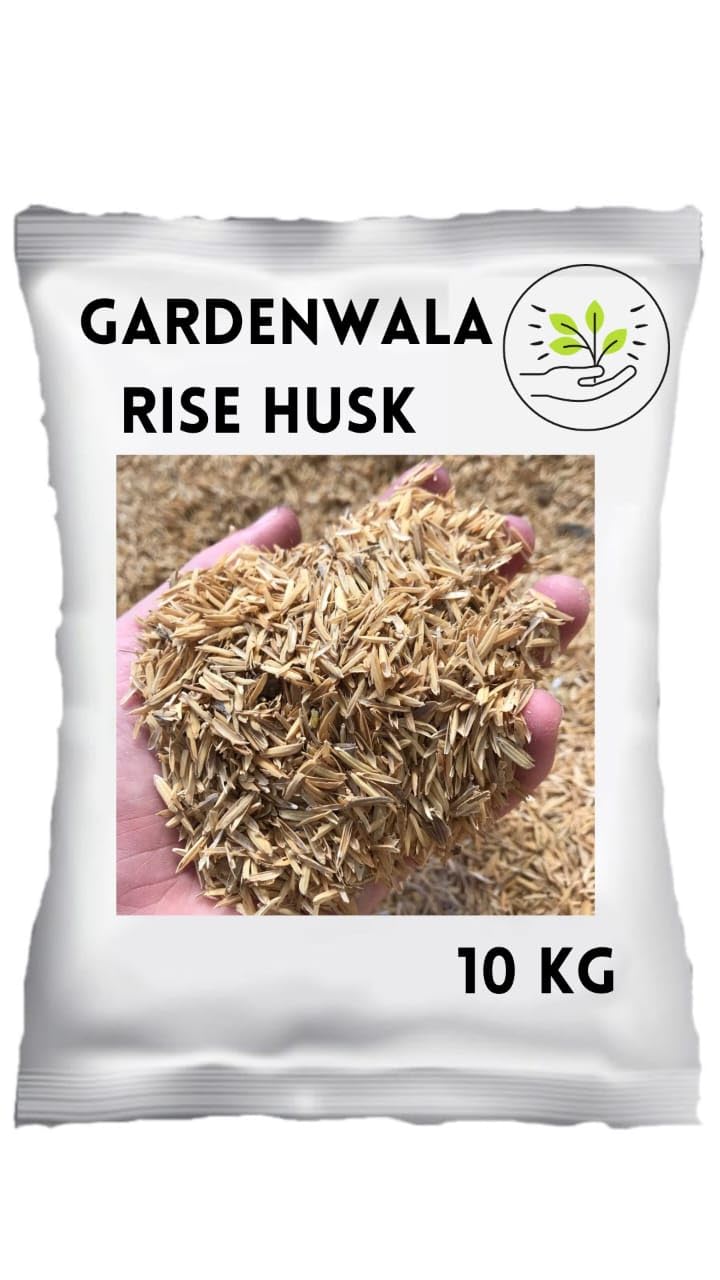 Rice Hulls Soil Mix for Plants - 1KG Natural Rice Husk/Hulls 100% Pure ...