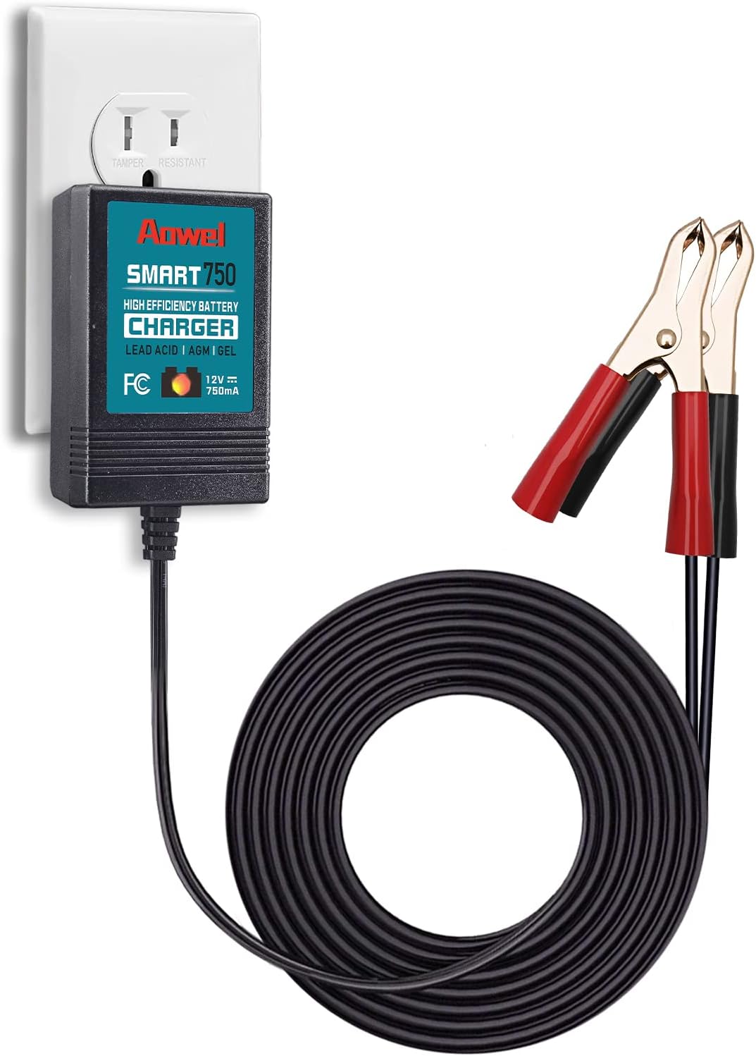Amazon.com: Aowel Smart Trickle Charger 12V 750mA Fully-Automatic ...