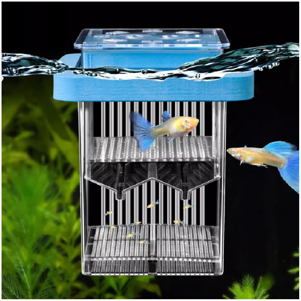Amazon.com : La La Pet® Floating Fish Breeding Box with Lid Parent Fish ...