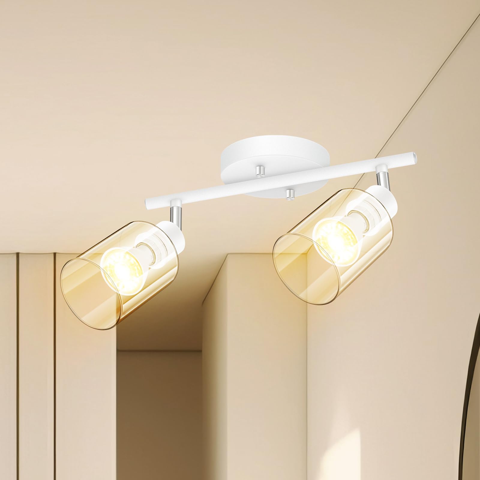 BoostArea 2 Light Led Track Light,Glass Lightshade Track Lighting Kits ...