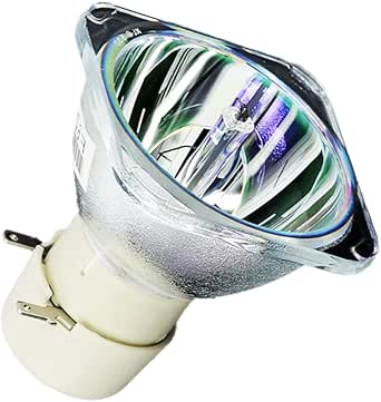 Amazon.com: JISIZKY BL-FU240A / SP.8RU01GC01 Original Replacement Bare ...