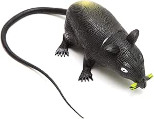 Amazon.com: Fun Express Squeaking Rat : Home & Kitchen