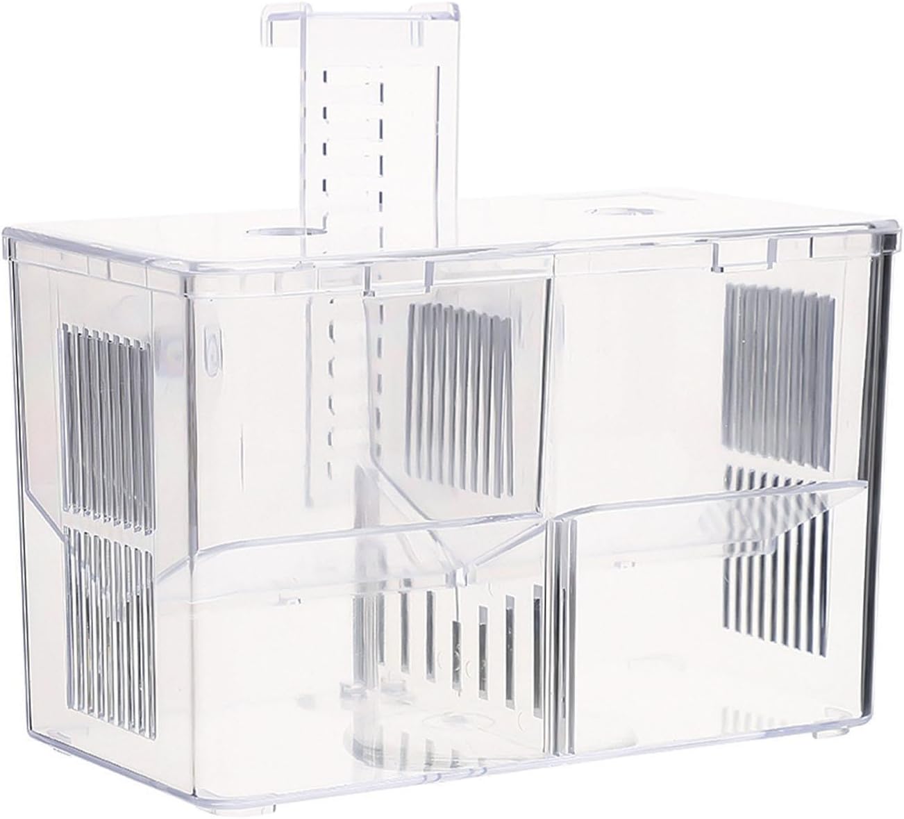 Amazon | Cuticate アクリル製水槽用魚飼育ボックス、透明飼育隔離仕切り、グッピーベビーエビクマノミ用水槽アクセサリー | Cuticate | 繁殖用タンク 通販