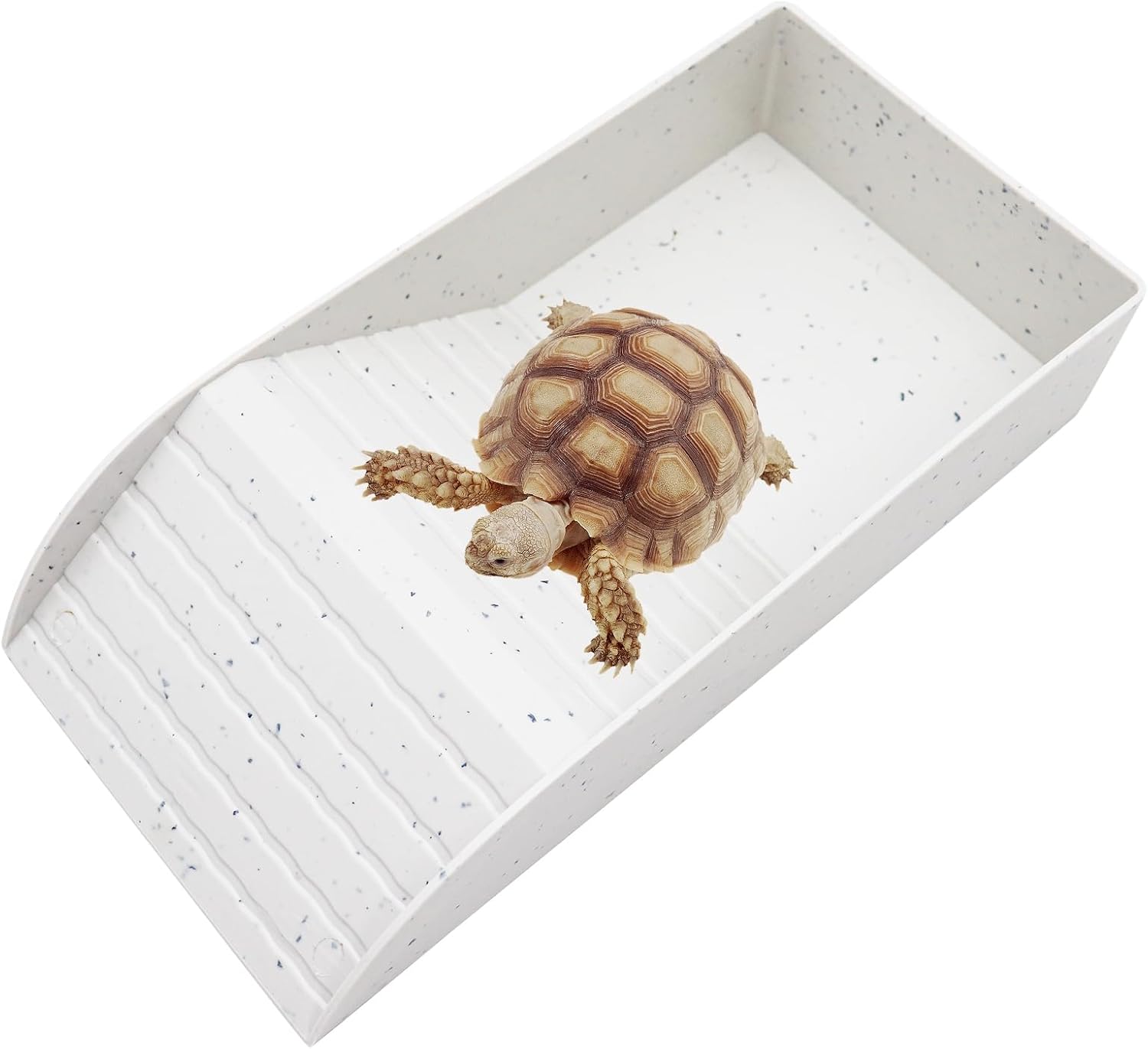 Tortoise Water Pool with Climbing Ramp, Turtle Climbing Toy, Reptile ...