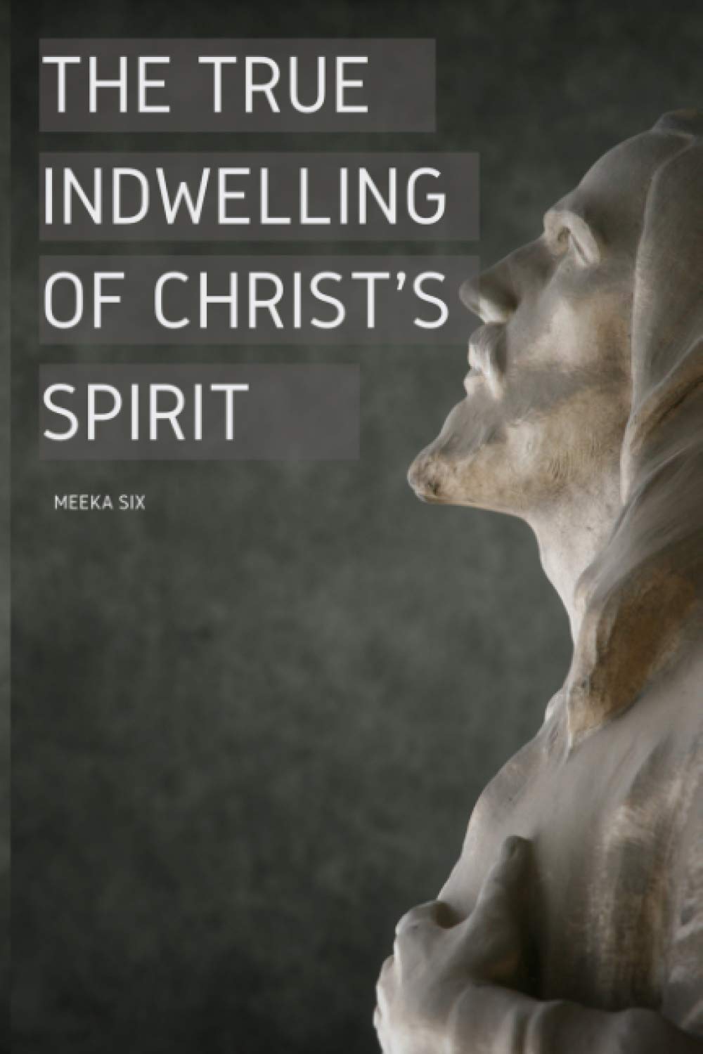 The True Indwelling Of Christ's Spirit: The Biblical Evidence and ...