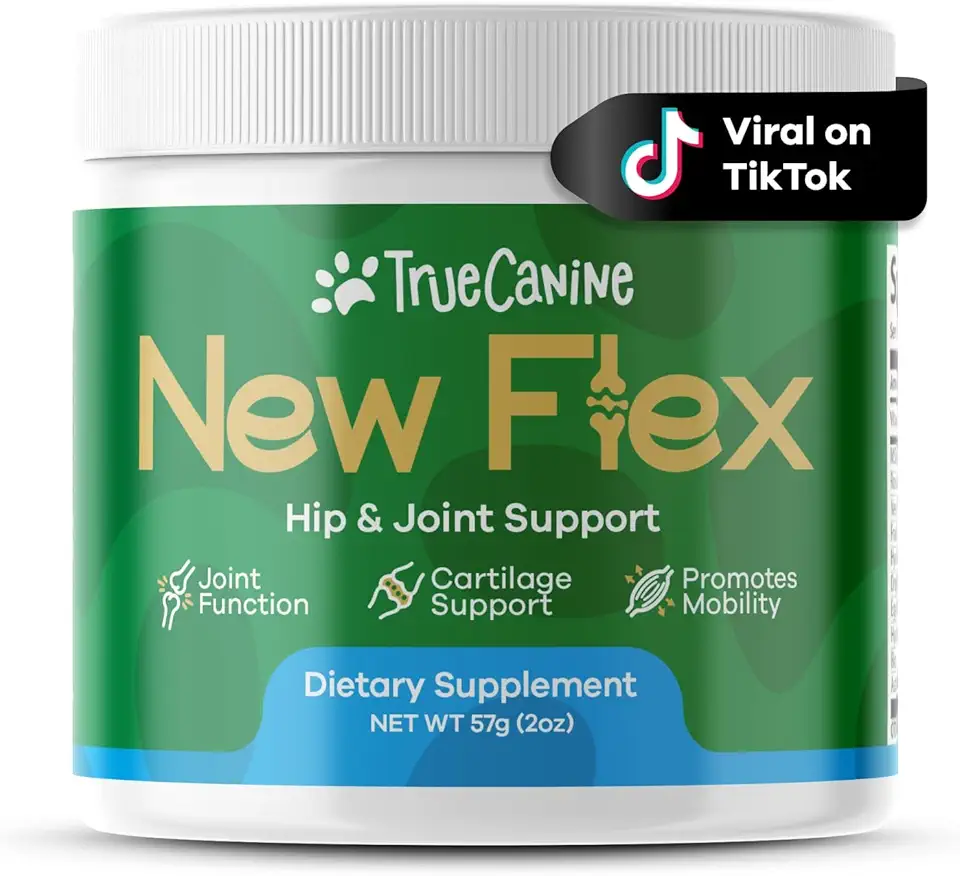 Safe Dosage Of Creatine For Dogs: What Owners Need To Know | PetShun