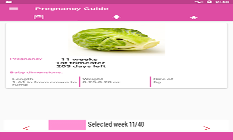 Pregnancy Baby Tracker Due date Calculator Week By Week - App on Amazon ...