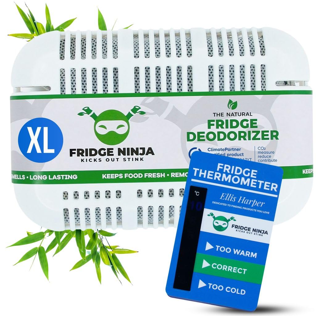 Fridge Deodoriser - Lasts 12 Months - Pack of 1 Natural XL Charcoal ...