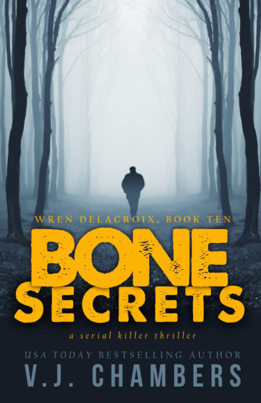 Amazon.com: Bone Secrets: a serial killer thriller (Wren Delacroix ...