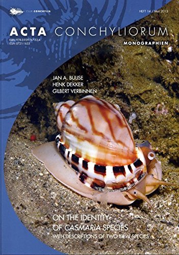 Amazon.com: On the Identity of Casmaria Species Gastropoda, Cassidae ...