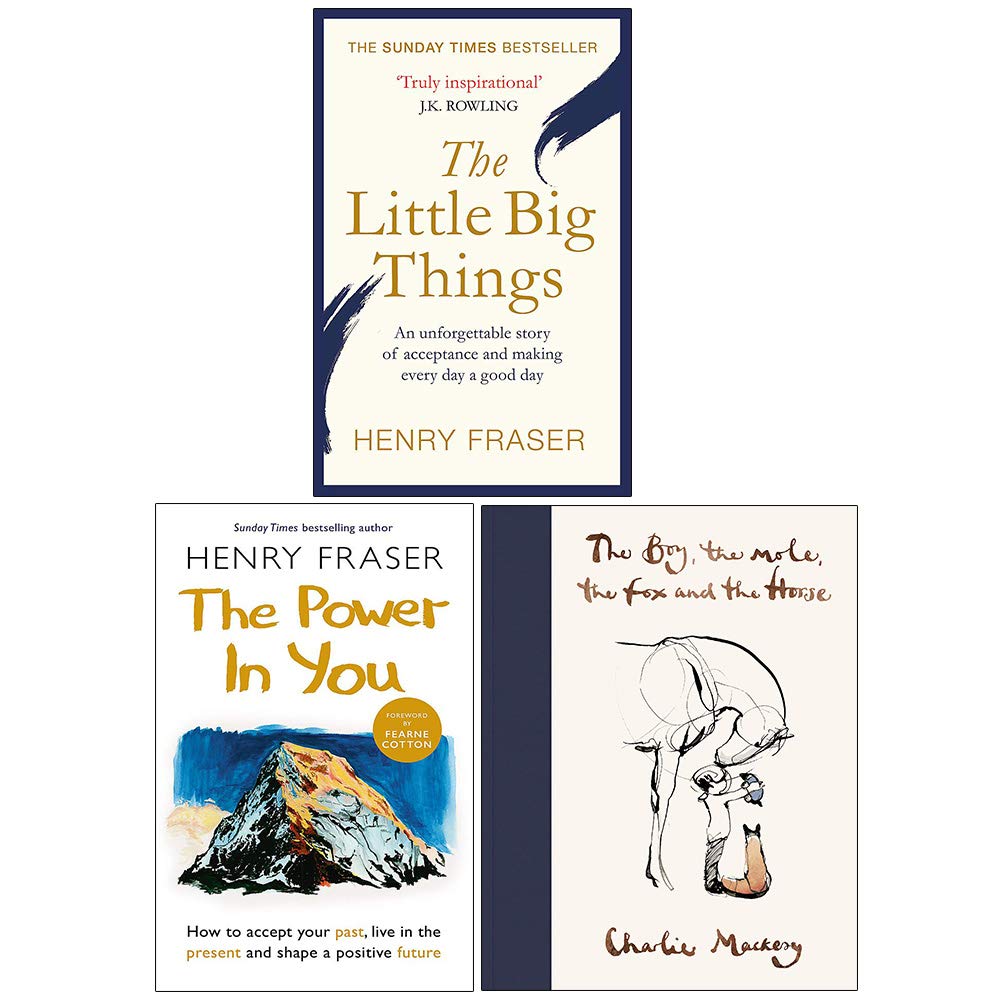 Buy The Little Big Things, The Power in You, The Boy The Mole The Fox ...