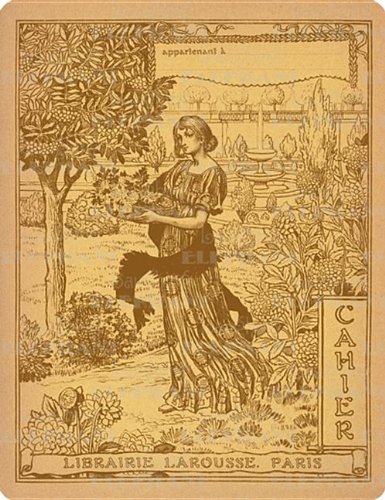 Amazon.com: Larousse Books French Notebook (French Notebooks ...