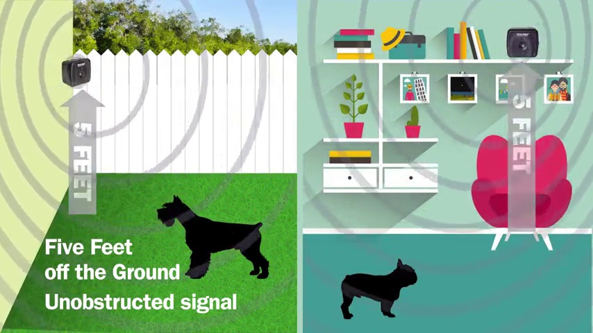 Watch First Alert Bark Genie Automatic Bark Control Device on Amazon Live