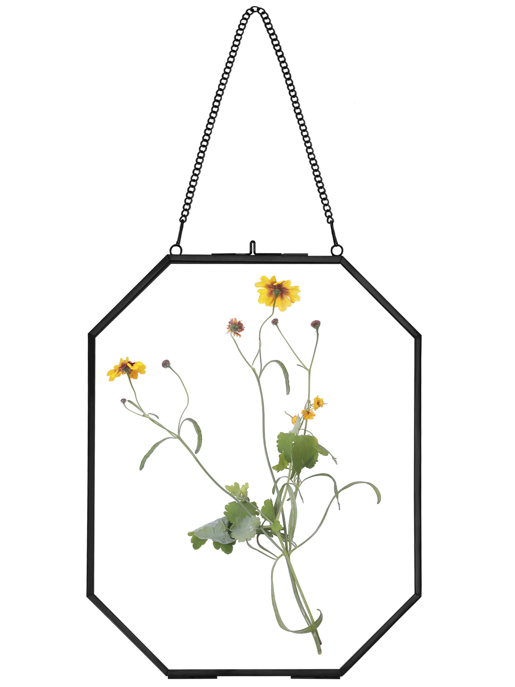 Amazon.com - REDHUGO Pressed Flower Frames, Glass Floating Frames for ...