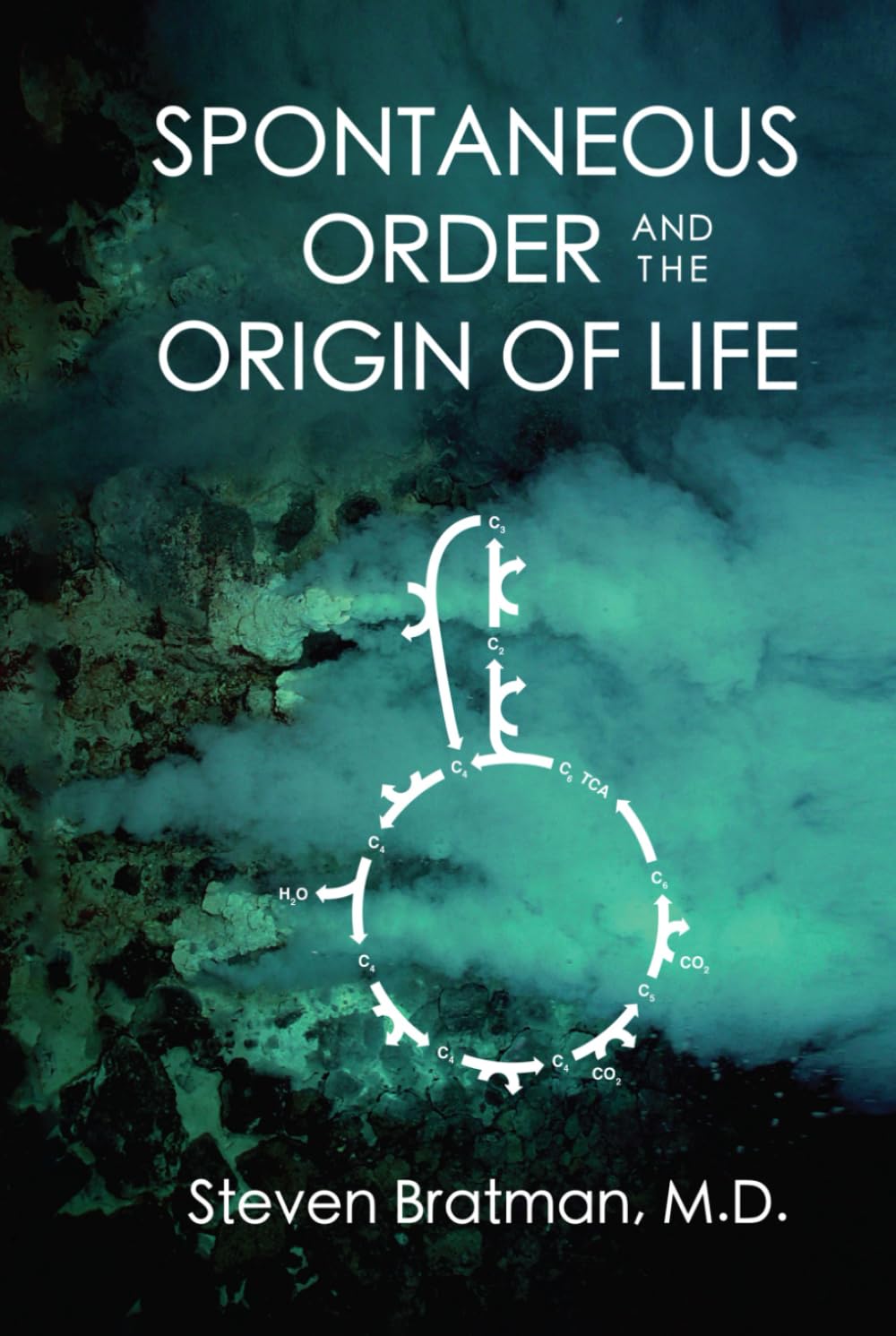 Spontaneous Order and the Origin of Life (Origins): Bratman, Steven ...