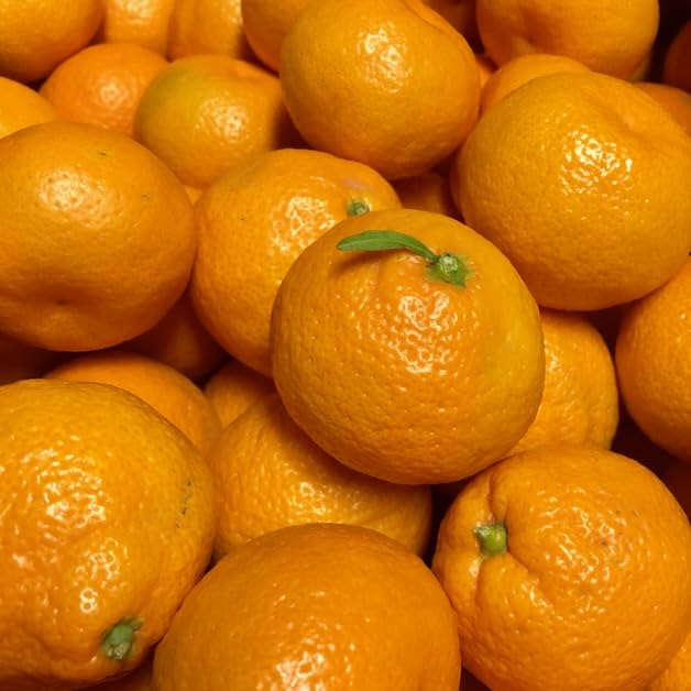 Amazon.com: Fresh Organic Satsuma Mandarins. Sweet, seedless and easy ...