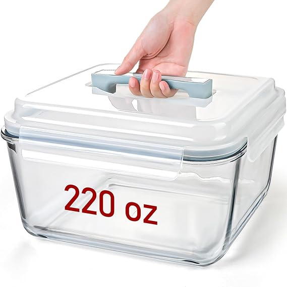 Amazon.com: Large Glass Storage Containers with Lids, Watermelon ...