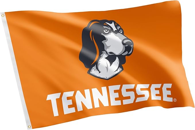 Amazon.com : Desert Cactus University of Tennessee Flag Knoxville ...