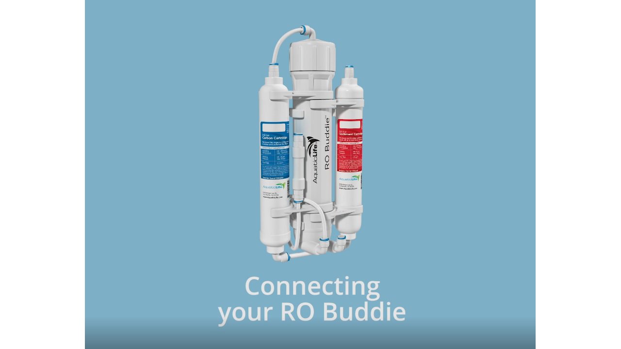Watch Connecting your RO Buddie on Amazon Live