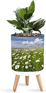 Amazon.com : JWHFZMANPYK 8.7" Planter with Stand White Daisies Spring ...