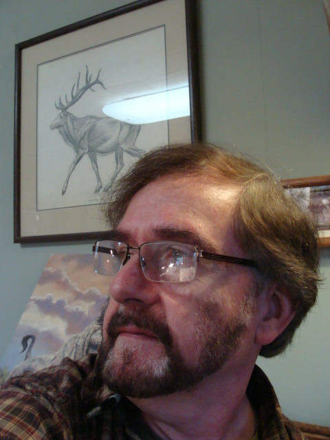 Amazon.com: Mark Hallett: books, biography, latest update