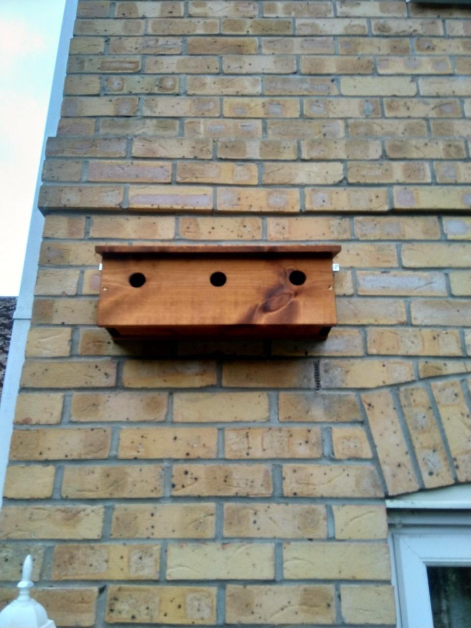 Riverside Woodcraft Sparrow terrace nesting box With Anti Bacteria ...