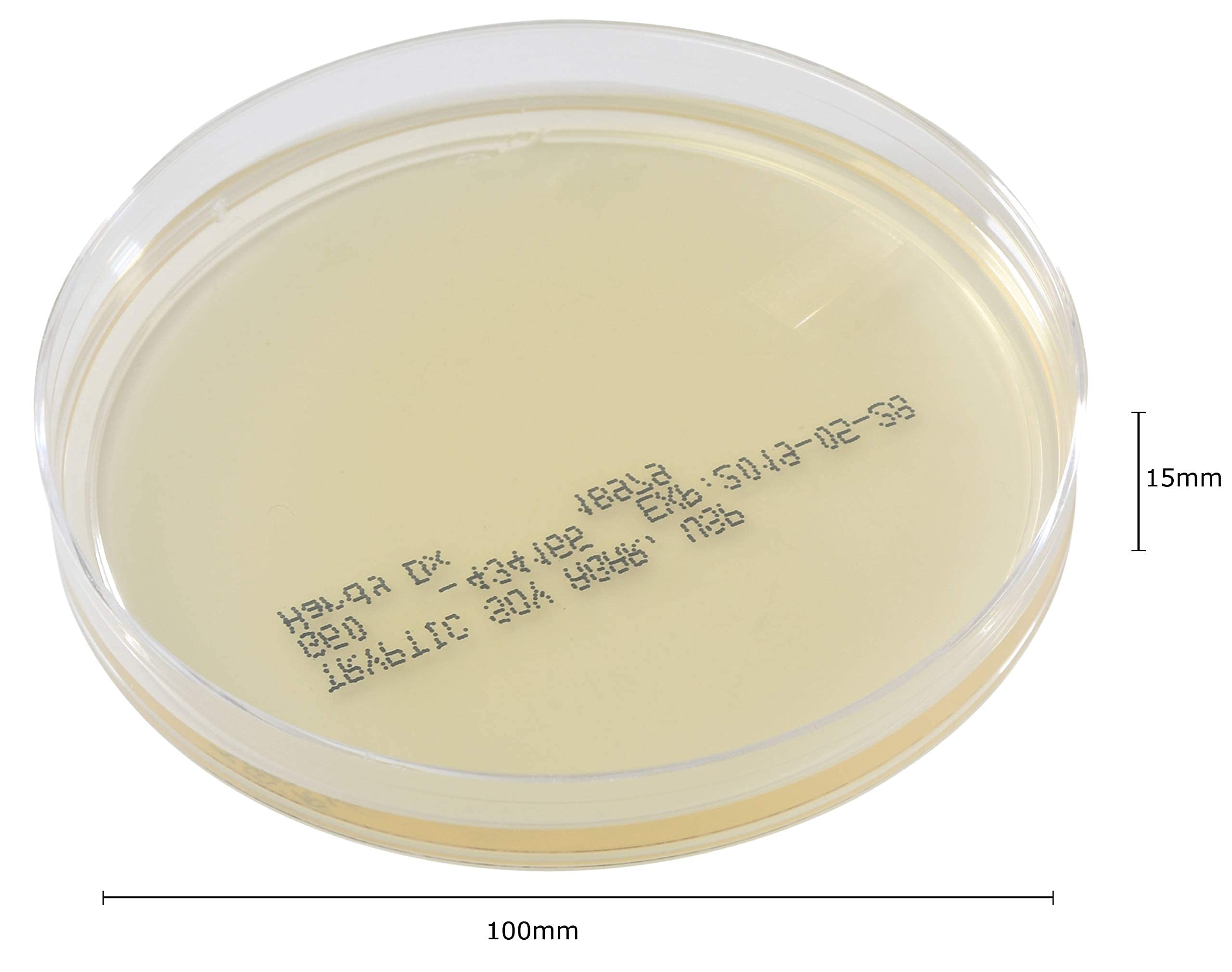 Buy Tryptic Soy Agar (TSA), USP, a General Growth Medium for ...