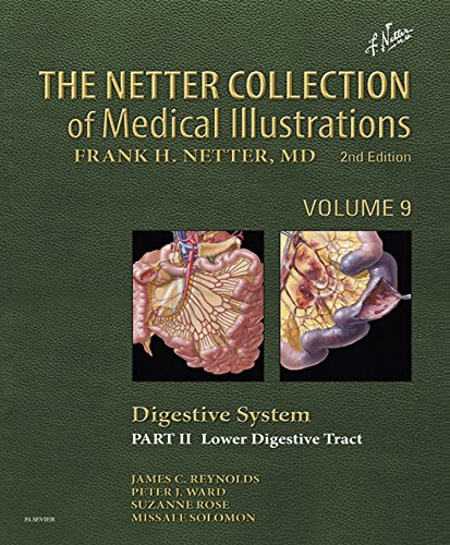 Amazon.com: The Netter Collection of Medical Illustrations: Digestive ...