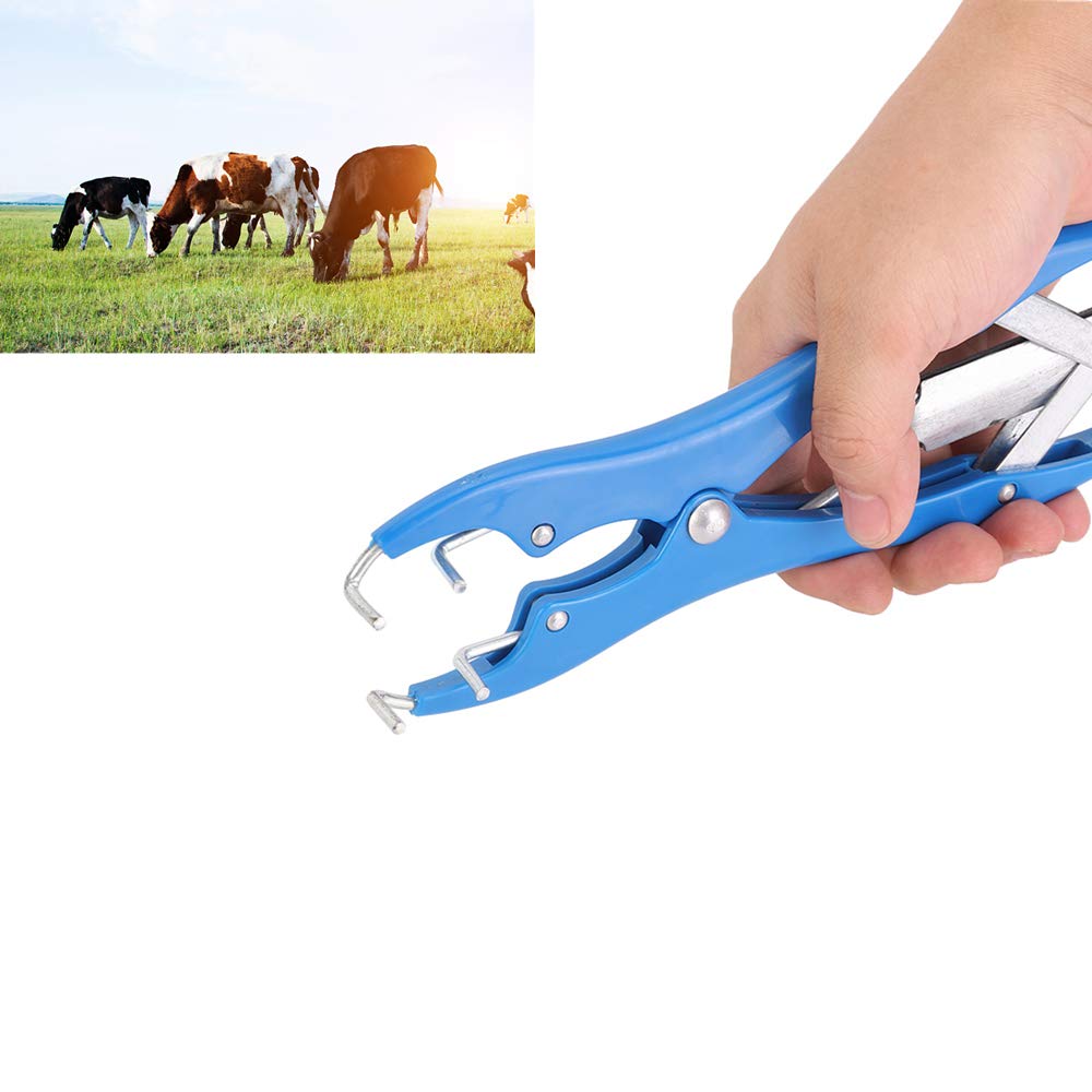 Jadpes Cattle And Sheep Castration Farm Animal Pig Cattle Sheep ...