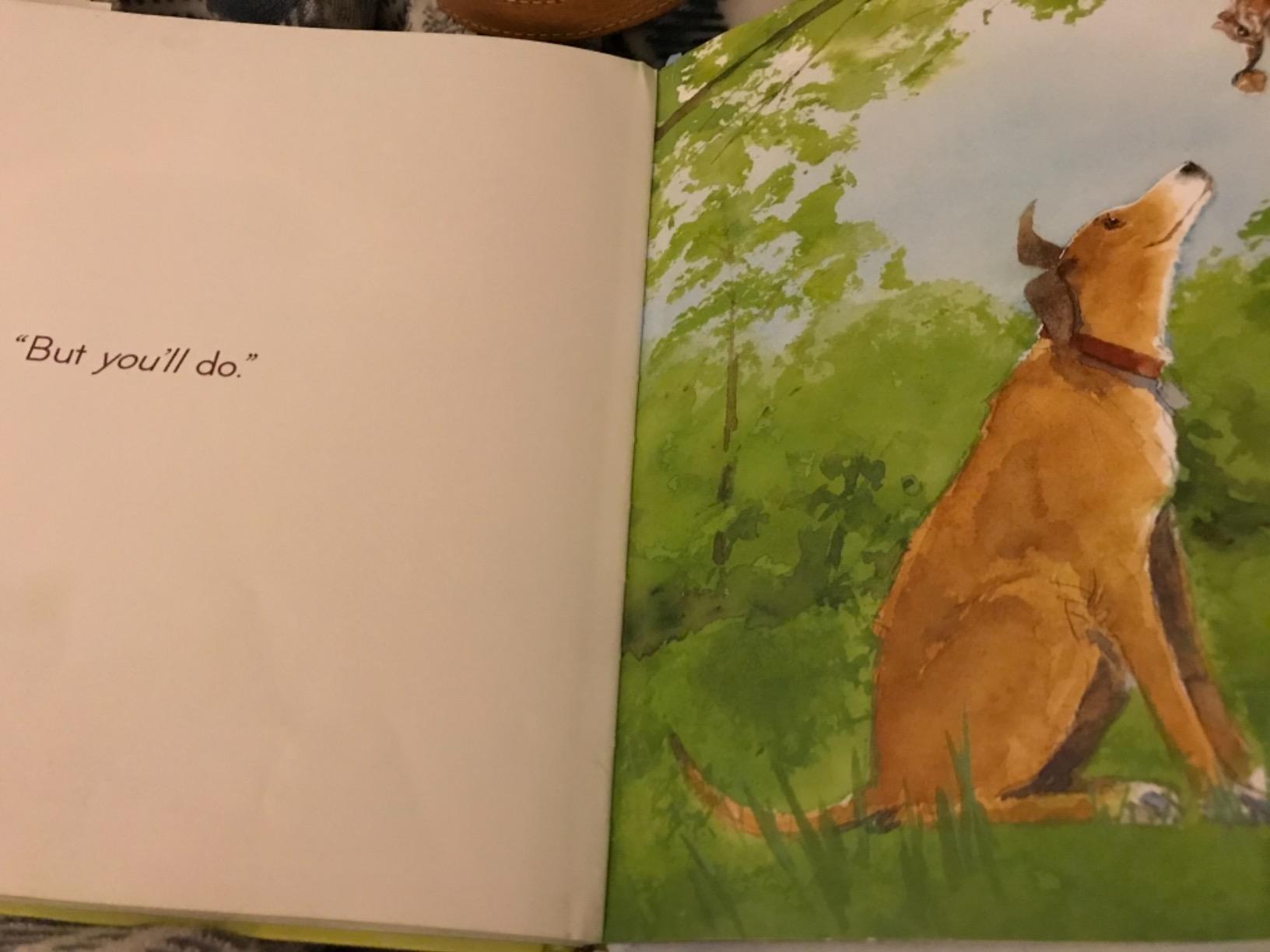 City Dog, Country Frog: Willems, Mo, Muth, Jon J.: 9781423103004 ...