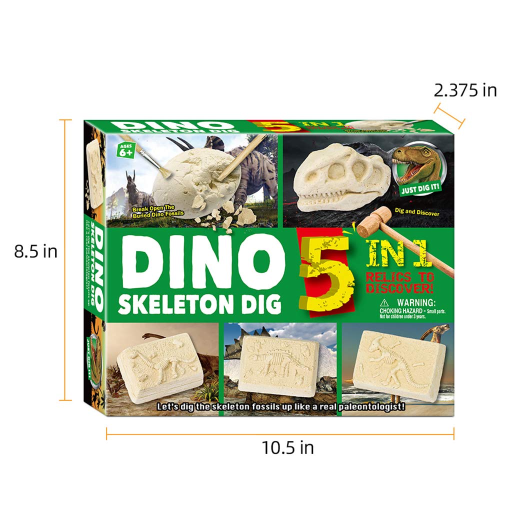 Buy NAVESTAR DIY Dinosaur Excavation Kit, Dino Fossil Kit 3D Skeleton ...