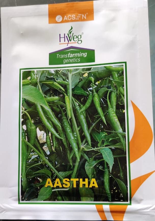 Hyveg, Chilli, Aastha -10 gm : Amazon.in: Grocery & Gourmet Foods