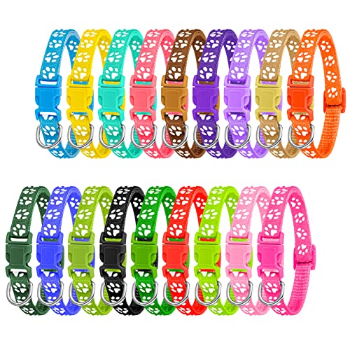 Puppy Collars – The 15 best products compared - Wild Explained