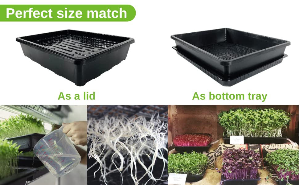 Snapklik.com : BeGrit Soil Blocking Trays 15x12 Inch 5 Set/10 Pcs Mesh ...