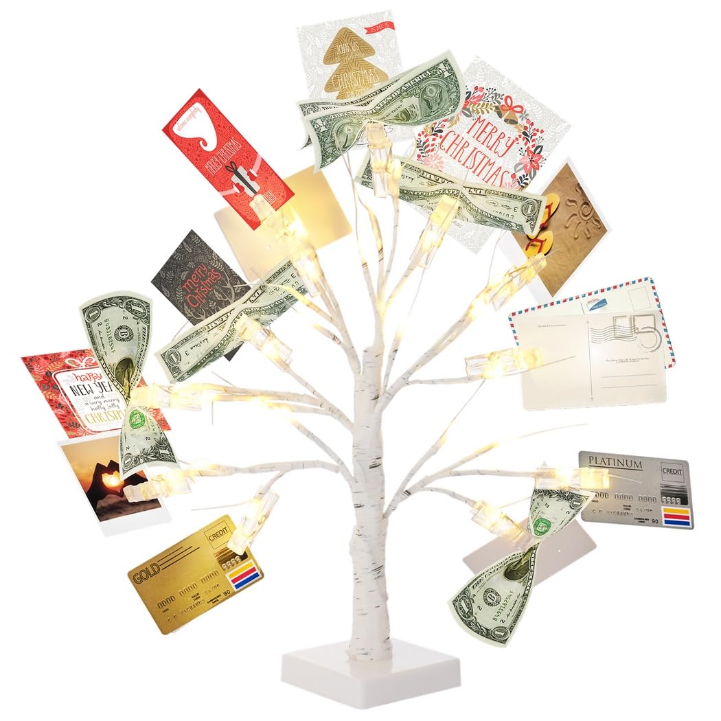Amazon.com: LUMINFLY Holder Money Tree Gift, Money 12 with Tree Clear ...