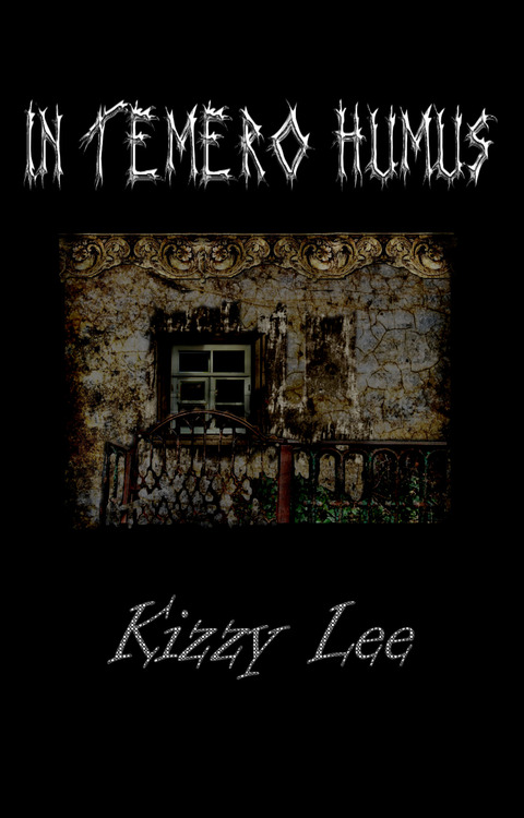 Amazon.com: Kizzy Lee: books, biography, latest update