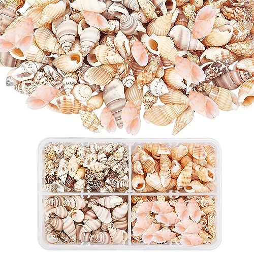 Muscheln Dose – Die 15 besten Produkte im Vergleich - kita.de Ratgeber