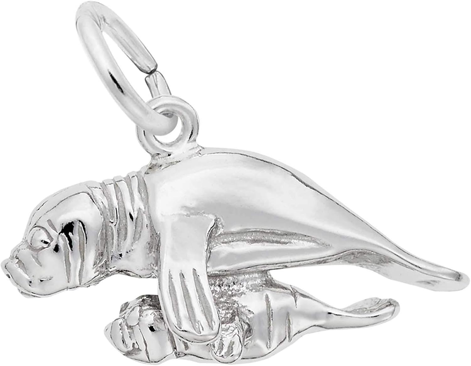 Amazon.com: Rembrandt Charms Manatee with Baby Charm, 14K White Gold ...