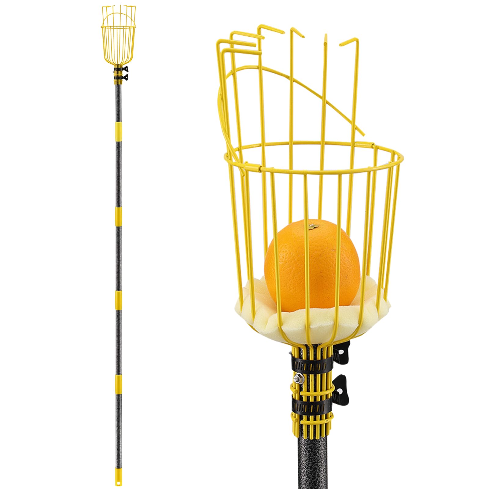 Amazon.com : Fruit Picker Pole with Basket Telescopic Pole, 5ft ...