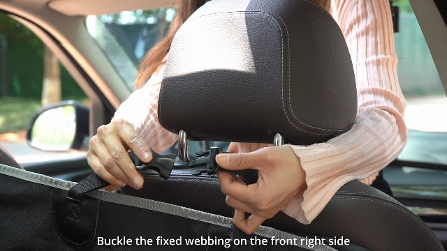 Watch How to install the NJNJ dog car seat on Amazon Live