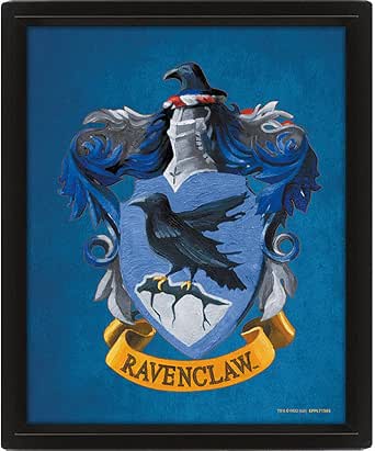 Amazon.com: Harry Potter Ravenclaw Framed Poster (One Size) (Blue/Gray ...
