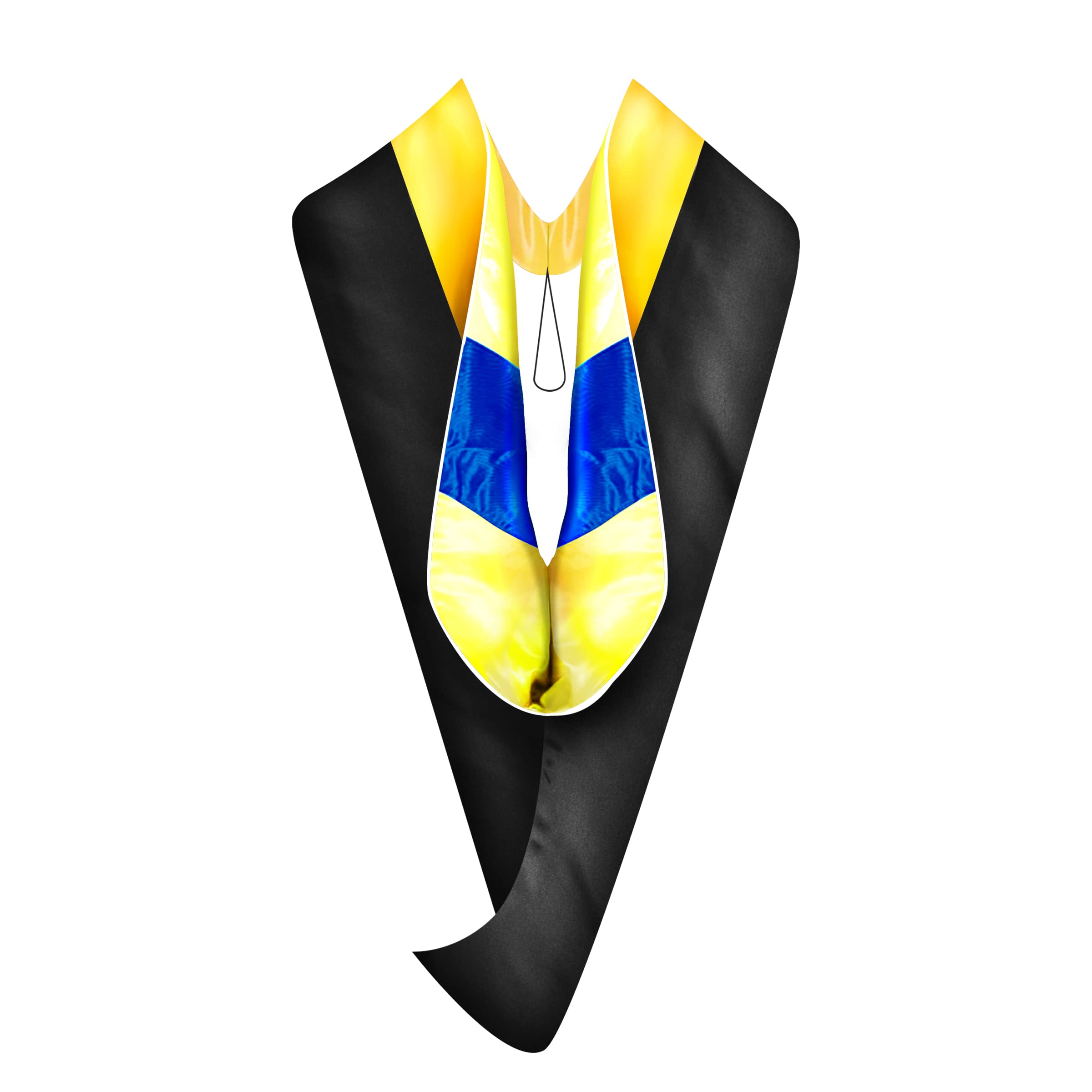 Snapklik.com : GRADWYSE Science Master Hood M.S. Graduation Master ...