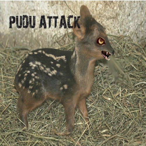 Amazon.com: Attack Of Pudu : Pudu Attack & The Bystander Mr. G ...