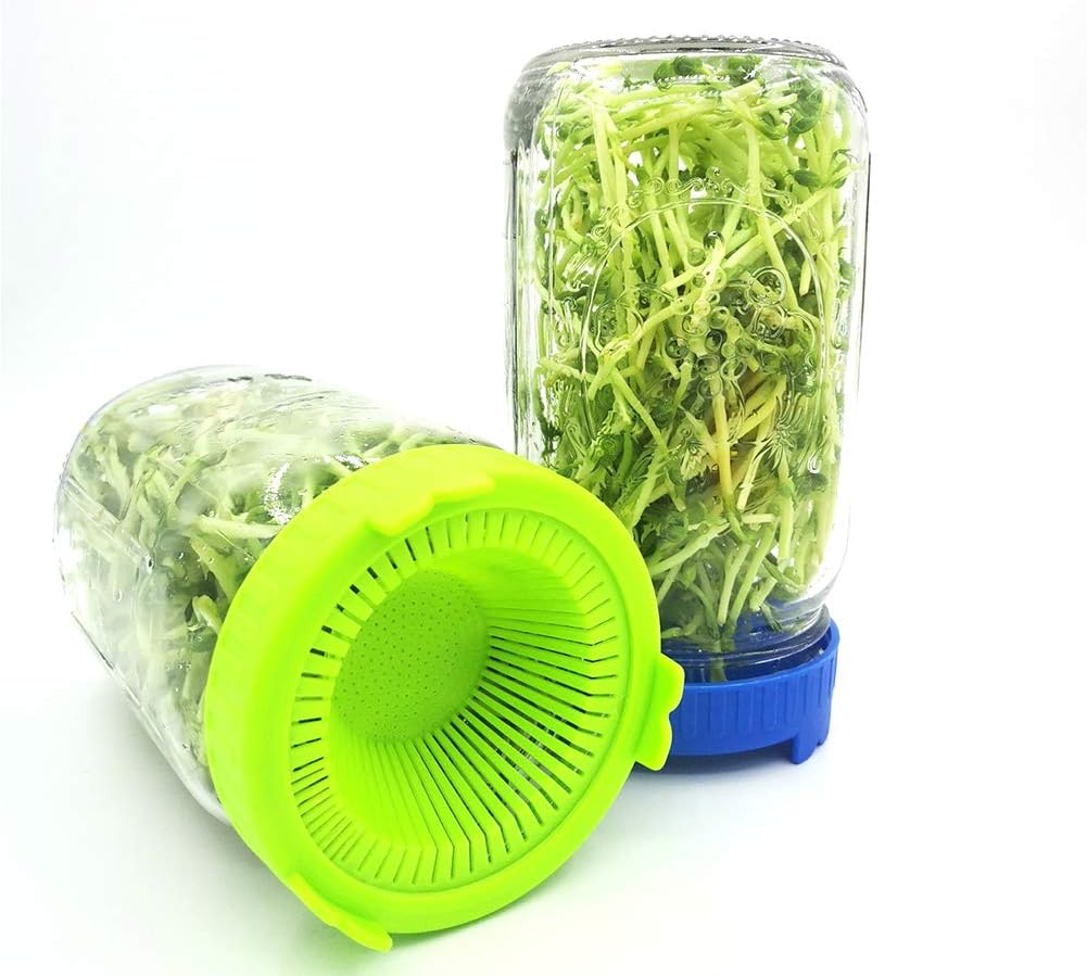Amazon.com : Bean Screen Growing Kit Plastic Sprouting Lids Growing ...