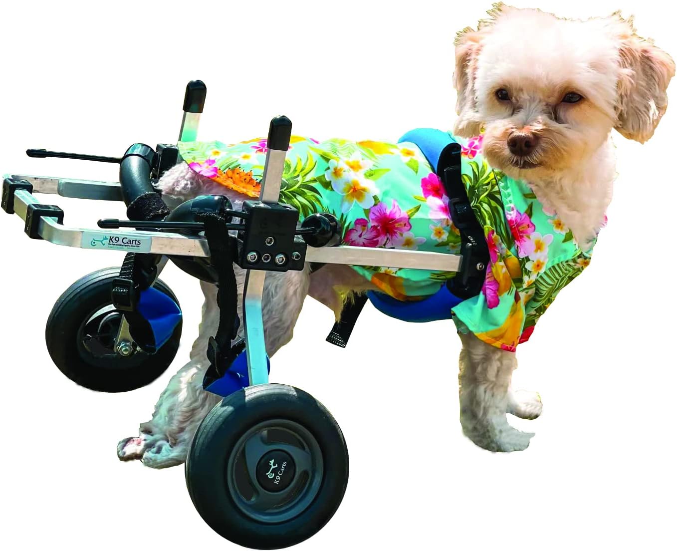 Amazon.com : K9 Carts | The Original Dog Wheelchair | Veterinarian ...