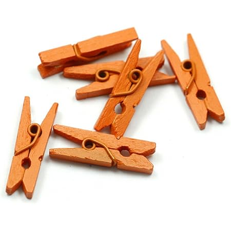 Amazon.com: Topxome 100pcs Mini Colored Spring Wood Clips Clothes Photo ...