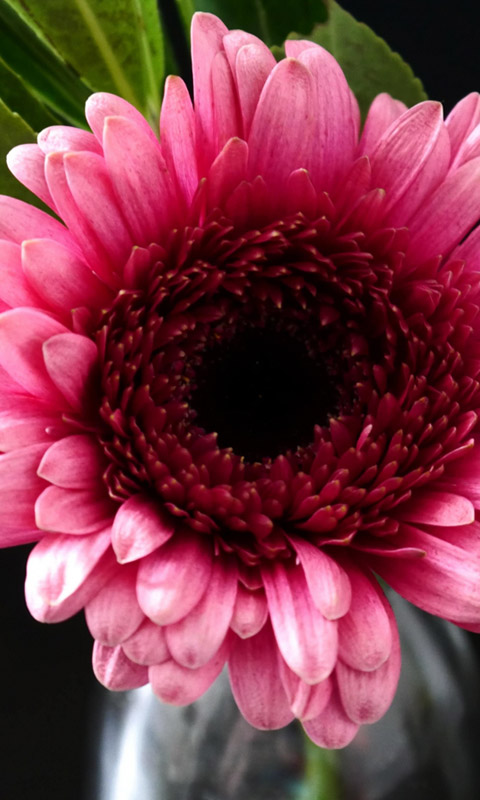 Pink Wallpaper Hd, Pink Aesthetic Wallpaper, Pink Pink Wallpaper:Amazon ...