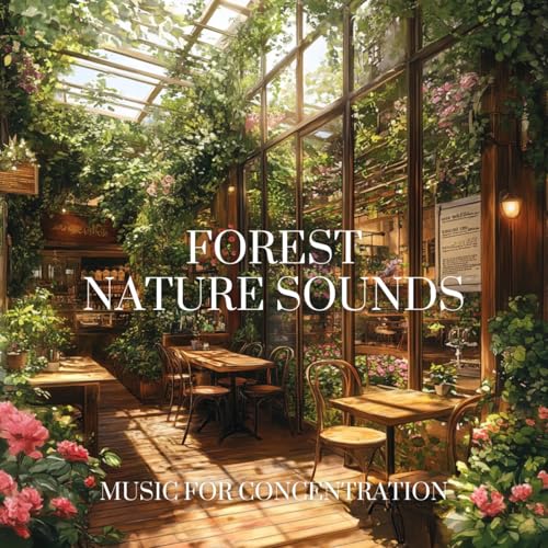 Mindful Moments: Music for Focus and Relaxation by Music for ...